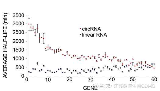 【耀文解读】环状RNA篇|深度解读构建circRNA稳定高效蛋白表达策略 #CDMO# #RNA疗法# #基因疗法# 前言关于circRNA体外环化和蛋白表达的优化，自然要提及2018年麻省 ...
