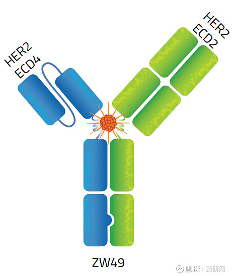 Zymeworks下一代ADC技术 ADC平台TOP01i 下一代ADCTOP01i技术平台是今年 Zymeworks 刚发布的下一代ADC ...