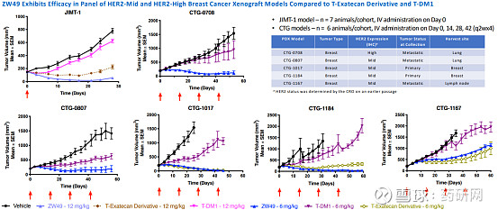 Zymeworks下一代ADC技术 ADC平台TOP01i 下一代ADCTOP01i技术平台是今年 Zymeworks 刚发布的下一代ADC ...