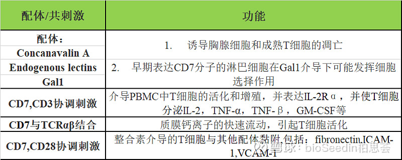【研究报告】CD7靶点：清君侧 01 CD7靶点简介CD7(T细胞抗原7，又称作GP40，TP41，LEU-9)是一种单链跨膜糖蛋白，40kDa，，包含... - 雪球