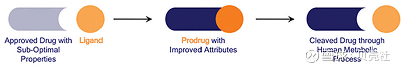 前抗体药物Probody，更安全＝更有效？ 作者：Will@Sg 来源：BiG生物创新社图一. 前药Prodrug概念 来源：PRODRUG ...