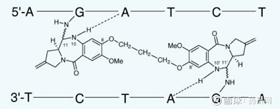 Spirogen新一代ADC技术 2013年， 阿斯利康 以总价4.4亿美元收购PBD ADC先驱Spirogen。2008年至今 ...