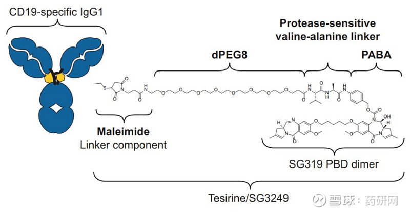 Spirogen新一代ADC技术 2013年， 阿斯利康 以总价4.4亿美元收购PBD ADC先驱Spirogen。2008年至今 ...