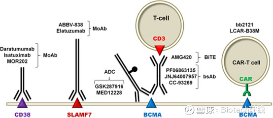 BCMA/CD3双抗丨强生I/II期附条件上市，辉瑞暂停，浅析差异化结局 作为血液系统仅次于非霍奇金淋巴瘤的第二大常见血液学恶性肿瘤，多发性 ...