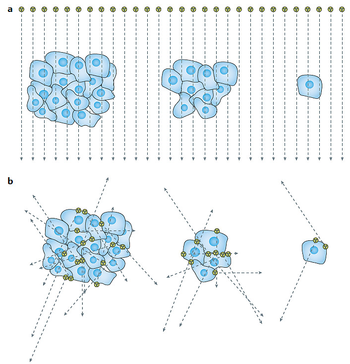 成立两年就获1.61亿美元助力，这家新锐为何获默沙东、诺华和BMS青睐？ 今日，Aktis Oncology公司宣布完成8400万美元的A轮扩展融资，将A轮融资总额提高到1.61亿美元。该公司 ...