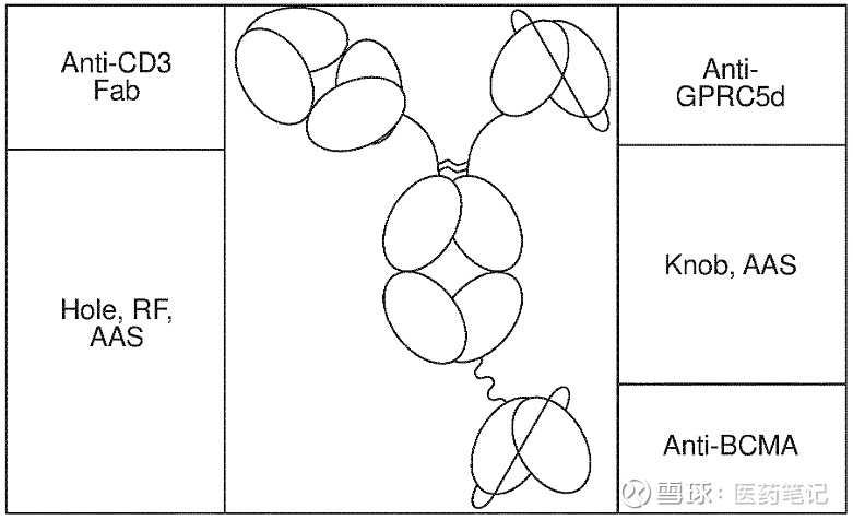 强生、信达生物研发GPRC5D/BCMA/CD3三抗 Armstrong 2022年8月25日， 强生 、 信达生物 的GPRC5D/BCMA/CD3三抗专利同一天公开。... - 雪球