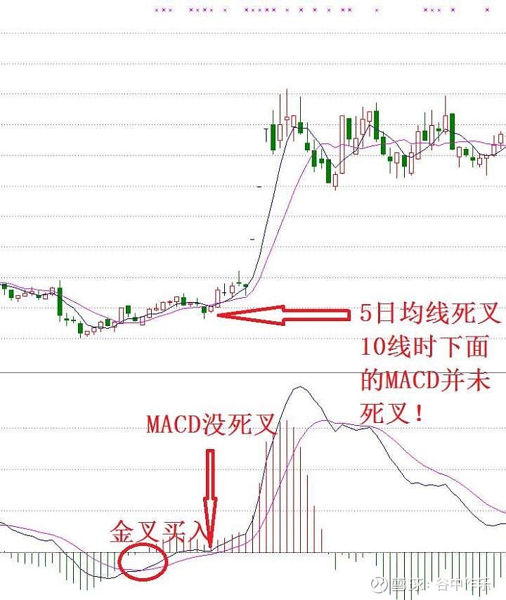 仅此一招“MACD”则在股市纵横十多年，短短3年实现财富自由 成熟的交易员绝对没有什么高深的境界，也没有什么长期稳定收益的技术，就是简单的事情重复做，除此之外没什么秘密!因为一个成熟... - 雪球