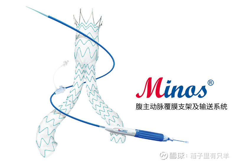 心脉医疗™Minos®腹主动脉覆膜支架及输送系统在韩国获批上市 心脉医疗™Minos®腹主动脉覆膜支架及输送系统在韩国获批上市 心脉医疗 ...