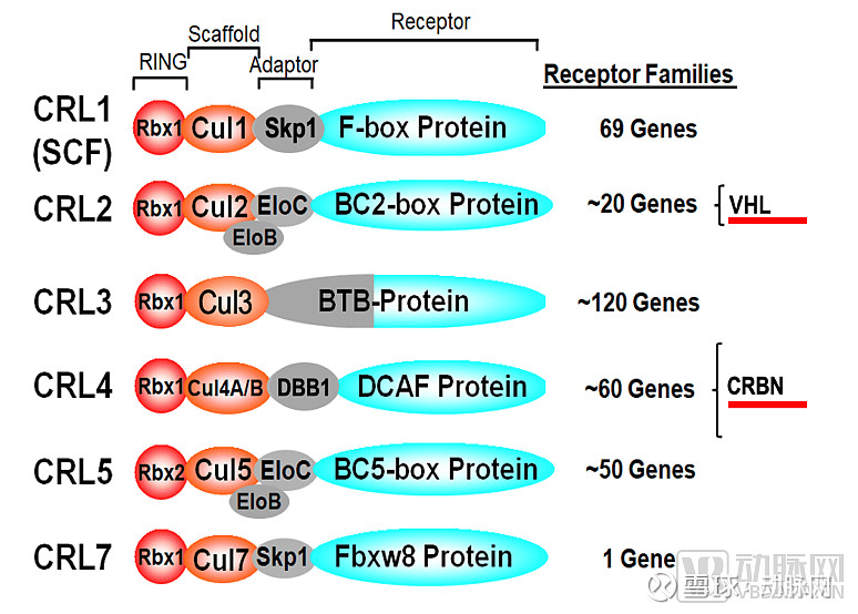 【首发】优济普世完成天使轮和天使+轮融资，加速开发下一代蛋白降解技术 动脉网获悉，优济普世医药科技（杭州）有限公司（以下简称“优济普世”）近日 ...