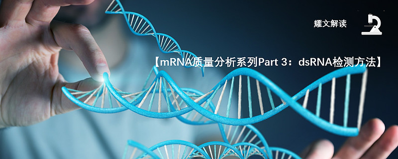 【耀文解读】mRNA质量分析系列Part 3：dsRNA检测方法 #mRNA疗法# #CDMO# #基因治疗# 注：本文不构成任何投资意见和建议，以官方/公司公告为准；本文仅作 医疗健康 ...