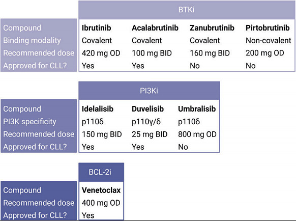 靶向治疗时代，如何确定临床药物剂量？——以BTKi、PI3Ki为例 撰文丨九尾灵狐编辑丨于靖针对PI3K、BTK和BCL-2的靶向治疗，已被批准用于慢性淋巴细胞白血病（CLL）。这些疗法作 ...