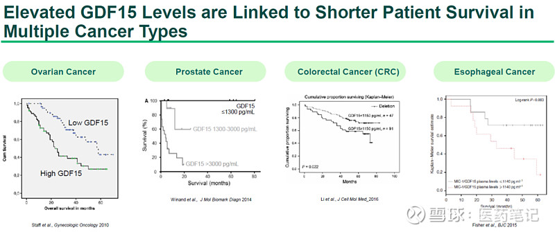 GDF15-GFRAL靶点全梳理 生长分化因子15(GDF15)为一种内分泌激素，是TGFβ超家族成员，在肥胖、糖尿病、非酒精性脂肪肝、癌症等 ...