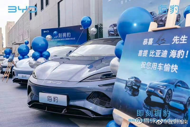 $比亚迪(SZ002594)$ $蔚来(NIO)$ $特斯拉(TSLA)$ 海豹弱点一大推！？这样看海豹价格不算便宜？不... - 雪球