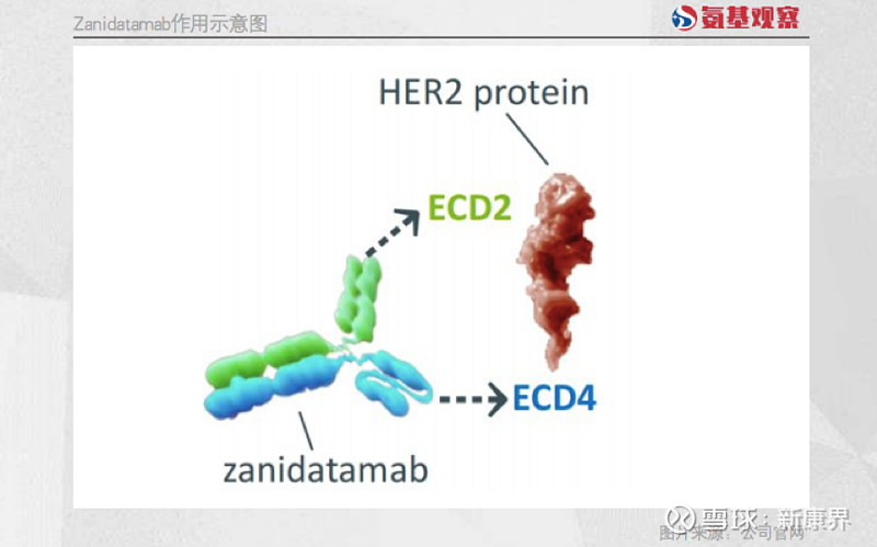 36亿美金Biotech陨落背后：创新需要“理想主义”，但投资不是 2022年1月，一家美股上市的创新药公司 Zymeworks ，“炒”掉了 ...