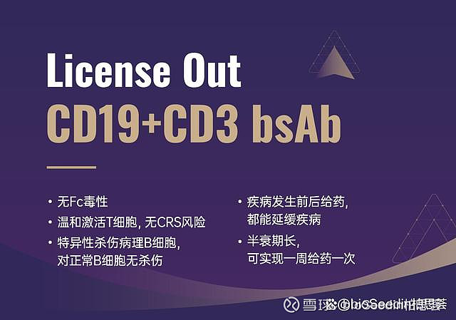 项目合作｜治疗自身免疫疾病CD19/CD3双抗 01项目概况1.项目名称：PEG化CD3 + CD19双特异性抗体2.适应症：自身免疫疾病3.结构：PEG化，无Fc段4... - 雪球