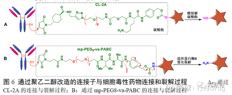 抗体偶联药物中连接技术研究进展 点击上方的 行舟Drug 添加关注 抗体偶联药物中连接技术研究进展来源《中国新药与临床杂志》 2022年作者李云峰，... - 雪球