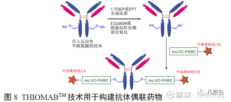 抗体偶联药物中连接技术研究进展 点击上方的 行舟Drug 添加关注 抗体偶联药物中连接技术研究进展来源《中国新药与临床杂志》 2022年作者李 ...