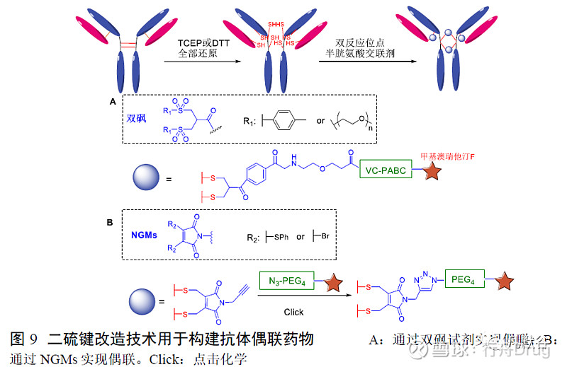 抗体偶联药物中连接技术研究进展 点击上方的 行舟drug 添加关注 抗体偶联药物中连接技术研究进展来源《中国新药与临床杂志》 2022年作者李