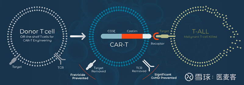 同种异体记忆NK细胞疗法展现出卓越肿瘤抗性，或可克服实体瘤阻碍 2022年9月18日/医麦客新闻 eMedClub News/--近日，细胞 ...