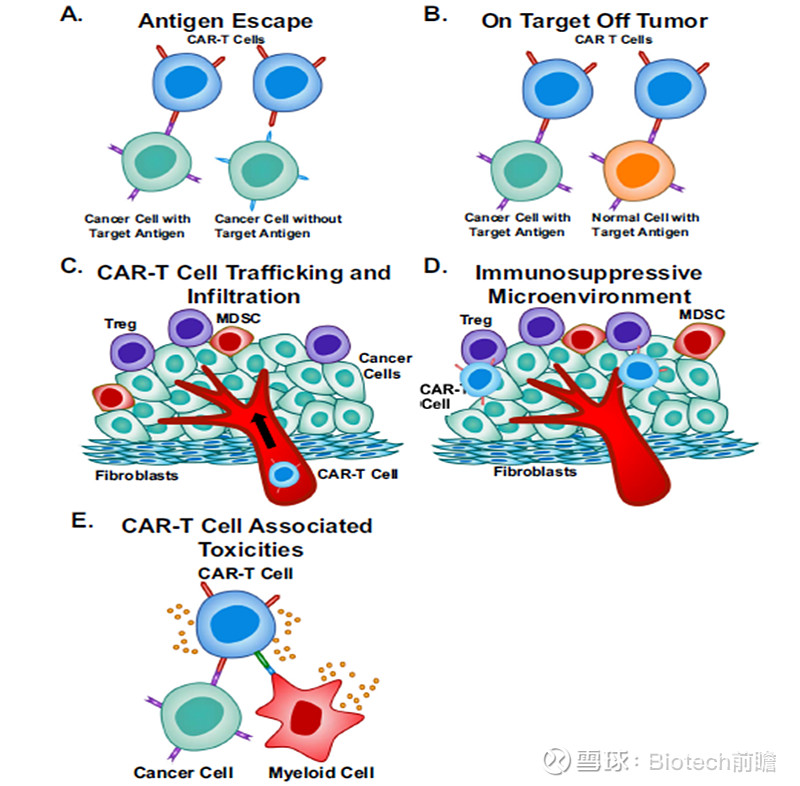 CAR-T与iPSC联手丨大规模生产通用型CAR-T降低成本 ——CAR-T技术的局限性——CAR-T(Chimericantigen ...