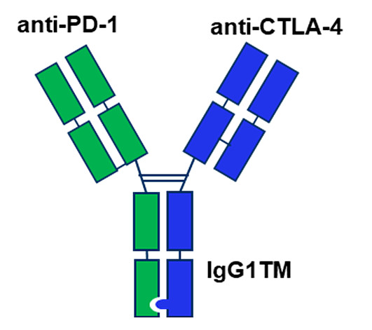 阿斯利康PD-1/CTLA-4双抗MEDI5752研发之路 文章引用自赛业生物网页链接阿斯利康PD-1/CTLA-4双抗MEDI5752研发之 ...
