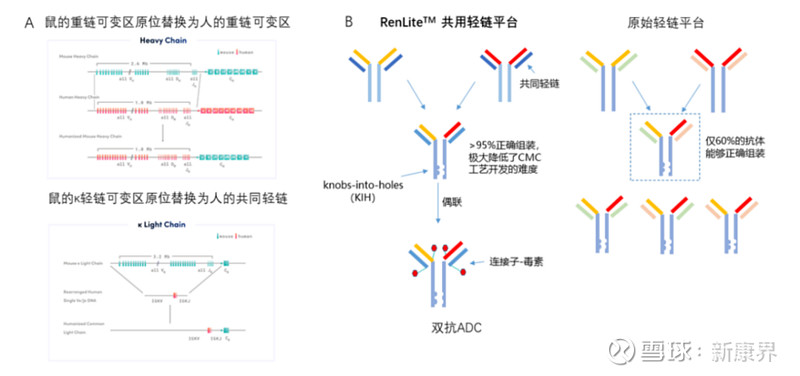 一条优于双抗、ADC的赛道？海外先驱受挫，国内几家药企笑了 近期，美股上市公司 Zymeworks 因在研的HER2双抗ADC新药ZW49治疗 ...