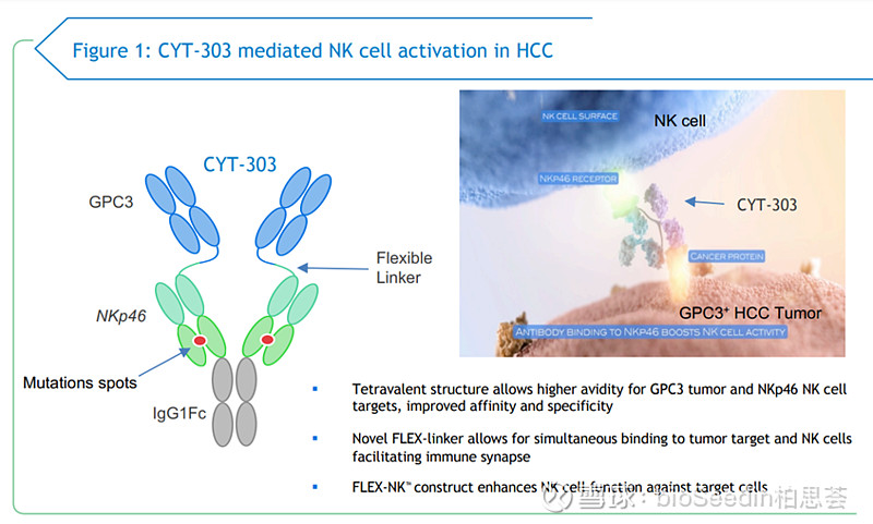 新靶点NKp46与新机制NK cell engager PREFACE 前言NK细胞作为免疫效应细胞天然的能够识别正常细胞和肿瘤细胞，这一特性 ...