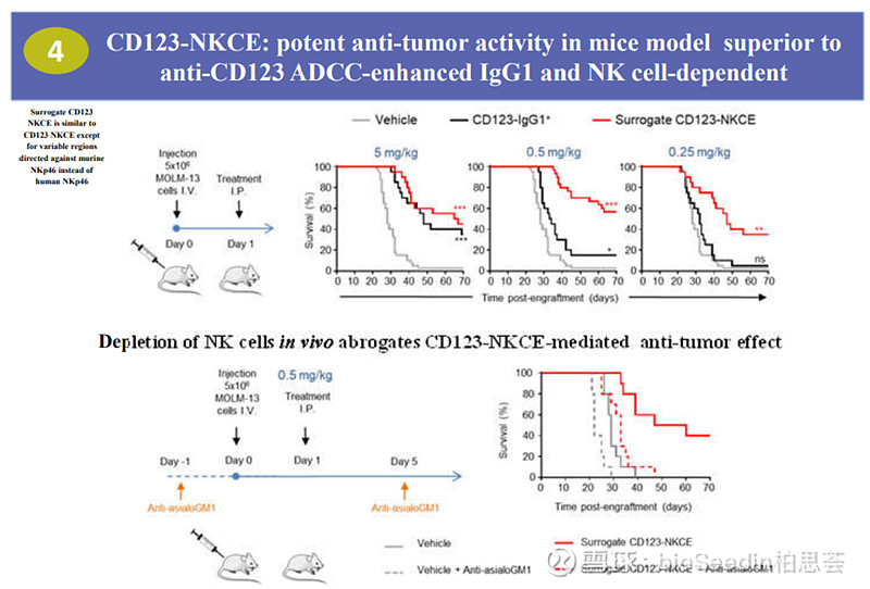 新靶点NKp46与新机制NK cell engager PREFACE 前言NK细胞作为免疫效应细胞天然的能够识别正常细胞和肿瘤细胞，这一特性 ...