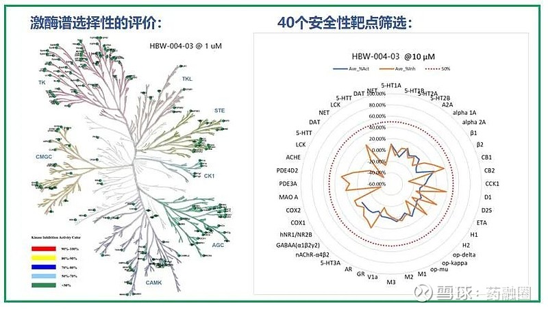 Nav1.8抑制剂——摆脱成瘾性禁锢的全新机制镇痛药 本文来源：海博为 注：本文不构成任何投资意见和建议，以官方/公司公告为准；本文仅作 医疗 ...