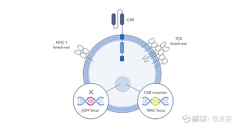 CRISPR公司通用型CD70 CAR-T获FDA认可，基因编辑助力下一代CGT疗法 2022年10月8日/医麦客新闻 eMedClub ...