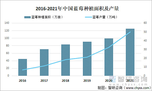 2022年中国全球及中国蓝莓行业全景分析(附市场供需、竞争格局及发展趋势等) 一、全球蓝莓现状蓝莓产业已经成为继草莓产业之后的世界第二大浆果 ...