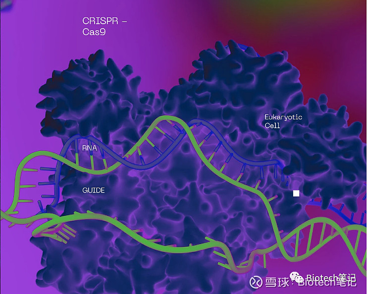 复活猛犸象？乔治·丘奇的Colossal Biosciences正在迅速推进 哈佛医学院遗传学家乔治·丘奇(George Church)领导的 ...