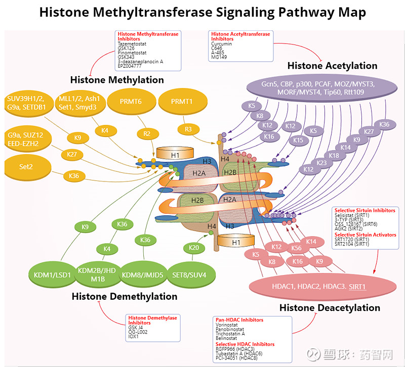 首款EZH1/2日本获批！表观遗传药物会是抗肿瘤领域未来之星吗？ 首款EZH1/2双重抑制剂在日本获批！表观遗传药物会是抗肿瘤领域未来之星吗？ 来源：药智头条/费翔 近日，第一三共的E... - 雪球