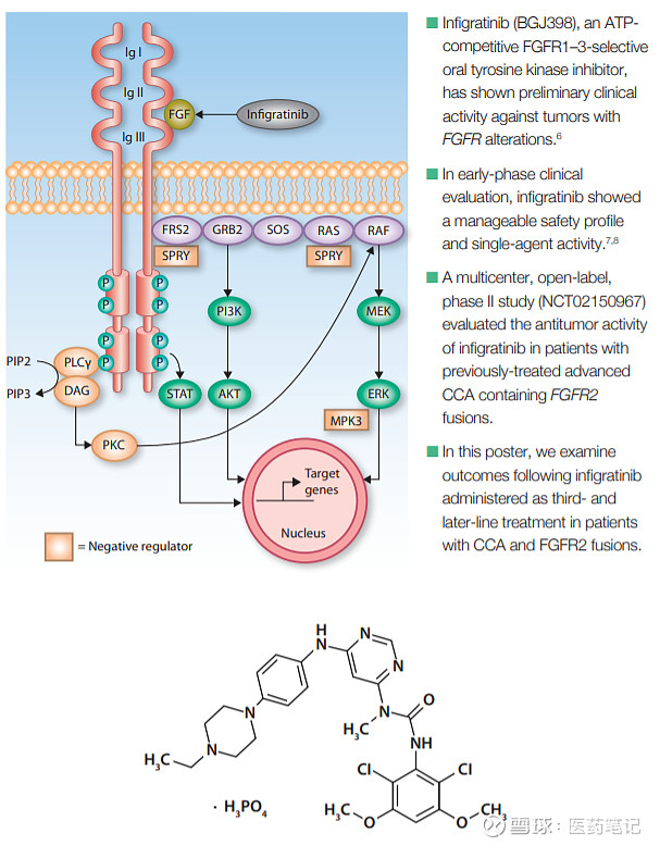 FGFR2抑制剂infigratinib退市，联拓生物拥有中国权益 Armstrong 2022年10月12日， 联拓生物 宣布收到BridgeBio通知，拥有FGFR2抑制剂Infig ...