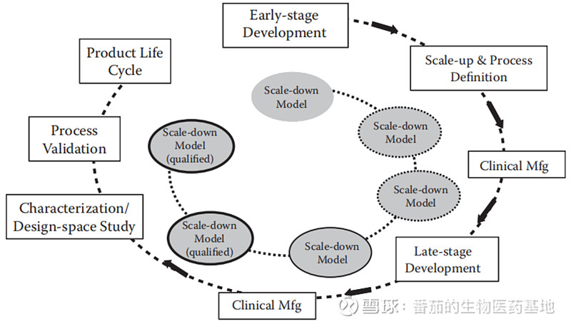 工艺表征 | 缩小模型的建立和确认 缩小模型的建立和确认为何需要缩小模型（Scale-Down Model, SDM）？前序文章《六步浅谈工艺 ...