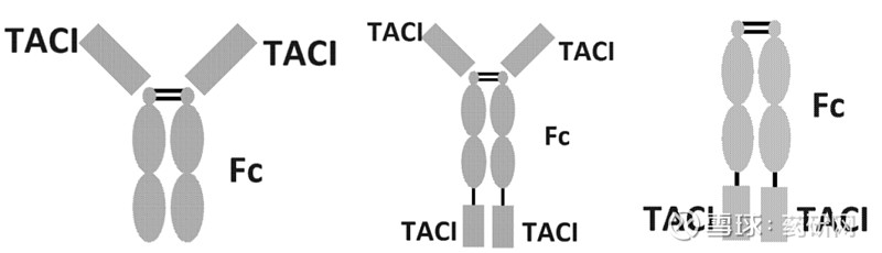 恒瑞入局，国内系统性红斑狼疮市场及在研现状 系统性红斑狼疮（SLE）是一种累及多器官且难以根治的自身免疫性疾病，据《中国系统性红斑狼疮发展报告 ...