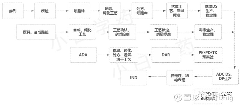 ADC药物CMC策略 点击上方的 行舟Drug 添加关注 ADC 药物的结构复杂且设计呈现多样化，为CMC研究相关的生产制造、质量控制带来... - 雪球