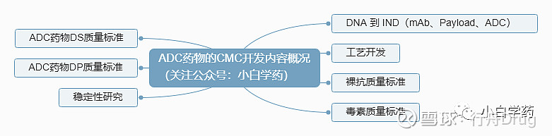 ADC药物CMC策略 点击上方的 行舟Drug 添加关注 ADC 药物的结构复杂且设计呈现多样化，为CMC研究相关的生产制造、质量控制带来... - 雪球