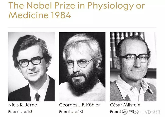 出身名门，HI系列单克隆抗体的前世今生！ 在生物学和医学实验室中，临床和科研工作者每天都要用到许多抗体试剂，大家也一定注意到每种单克隆抗体都有 ...