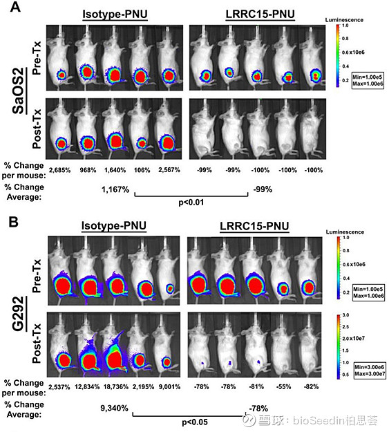 齐鲁、艾伯维实现双抗、ADC差异化布局的新武器——靶点LRRC15 01 LRRC15作为癌症治疗的潜力靶点LRRC15 (Leucine ...