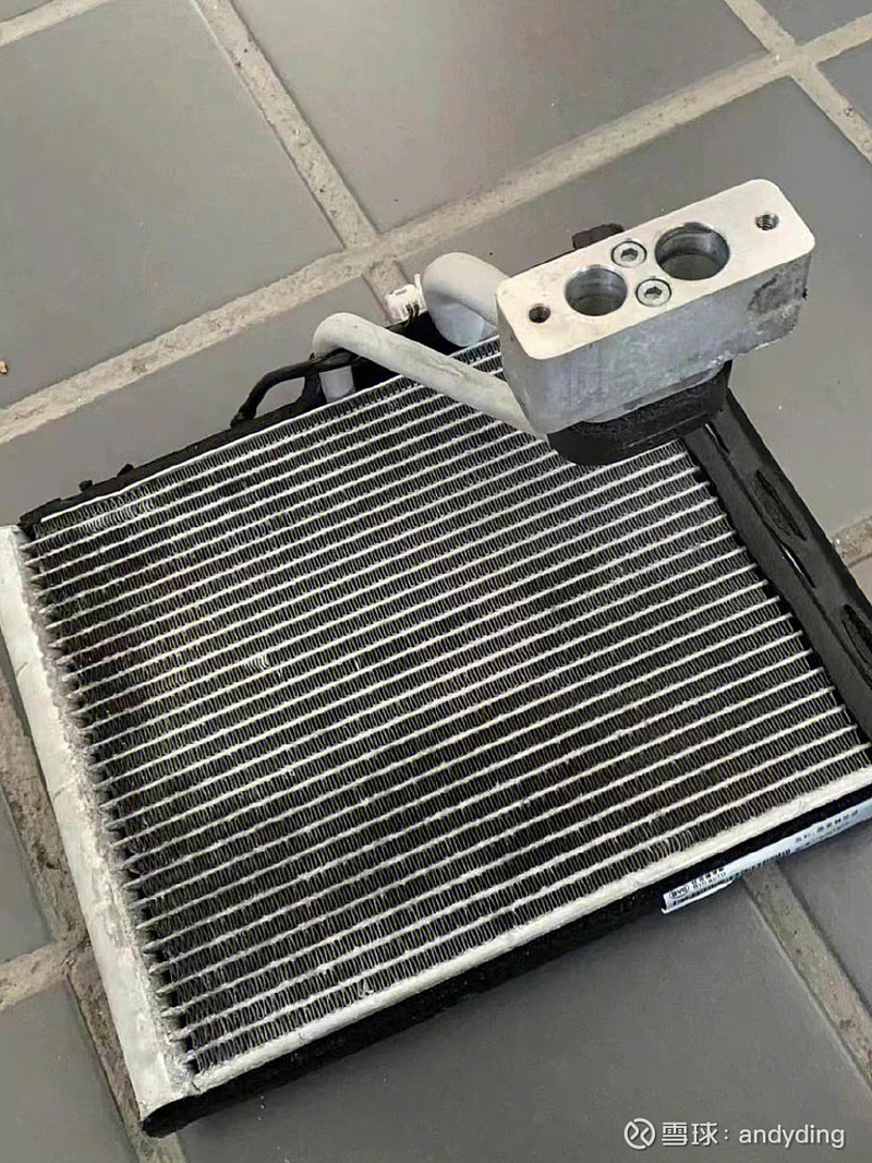 $比亚迪(SZ002594)$ 发酵了，车媒体大V分纷纷报道；估计海豚空调蒸发箱氧化铝镀层脱落，造成空调出风口粉尘粉末颗... - 雪球