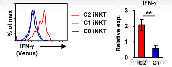 Science子刊发现iNKT细胞新亚群：更强毒性与抗肿瘤活性 2022年10月28日/医麦客新闻 eMedClub News/--iNKT ...
