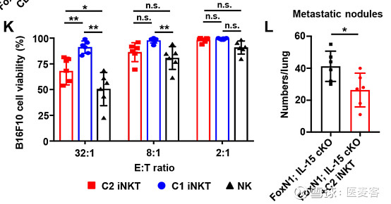 Science子刊发现iNKT细胞新亚群：更强毒性与抗肿瘤活性 2022年10月28日/医麦客新闻 eMedClub News/--iNKT ...