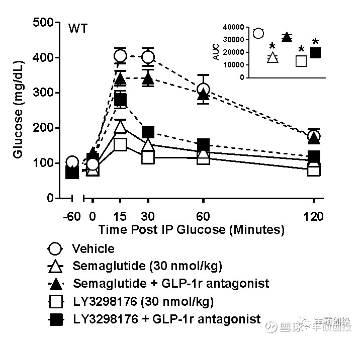 GLP-1降糖减肥：双激动剂vs联合用药谁更强？ 今年GLP-1药物多个里程碑事件让市场大火：现象级产品司美格鲁肽有望冲破百万美元销售， 礼来 ...