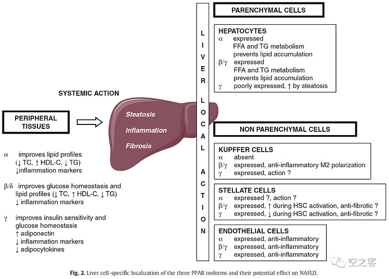 弦歌不辍还是功败垂成：NASH药物近期主要进展 从业以来，见证了相当多的疾病领域和技术路径的此兴彼落，有一鼓而定者、有苦尽甘来者、有昙花一现者 ...