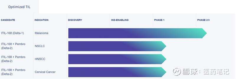 Instil Bio：TIL疗法暂停临床入组，股价跌37% Armstrong2022年10月31日， Instil Bio 宣布暂停ITIL ...