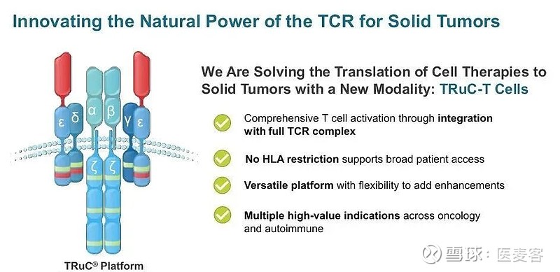 间皮素：能否在众细胞疗法中大放异彩？一览国内外布局进展 2022年11月2日/医麦客新闻 eMedClub News/--CAR-T疗法治疗 ...