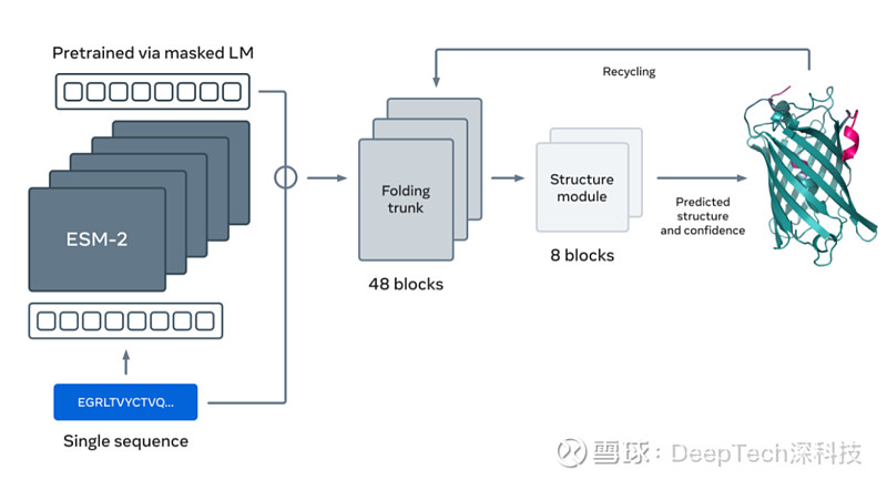对标AlphaFold：Meta预测6亿+蛋白质结构，由150亿参数语言模型完成 日前， Meta AI 宣布其已经绘制了一个包含 6.17 ...