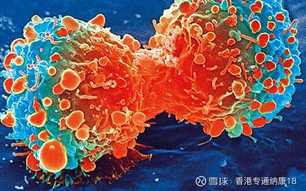 德喜曲妥珠单抗ENHERTU(DS-8201)中国香港已上市中文说明书 DS-8201，通用名：Fam ...