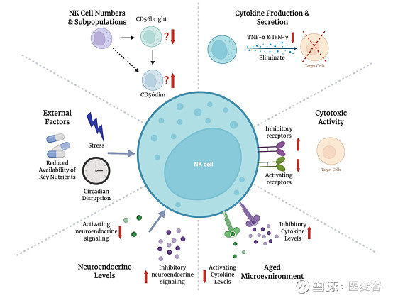 NKGen推进NK细胞治疗帕金森，“肿瘤杀手”也能治疗神经退行性疾病？ 2022年11月8日/医麦客新闻 eMedClub News ...